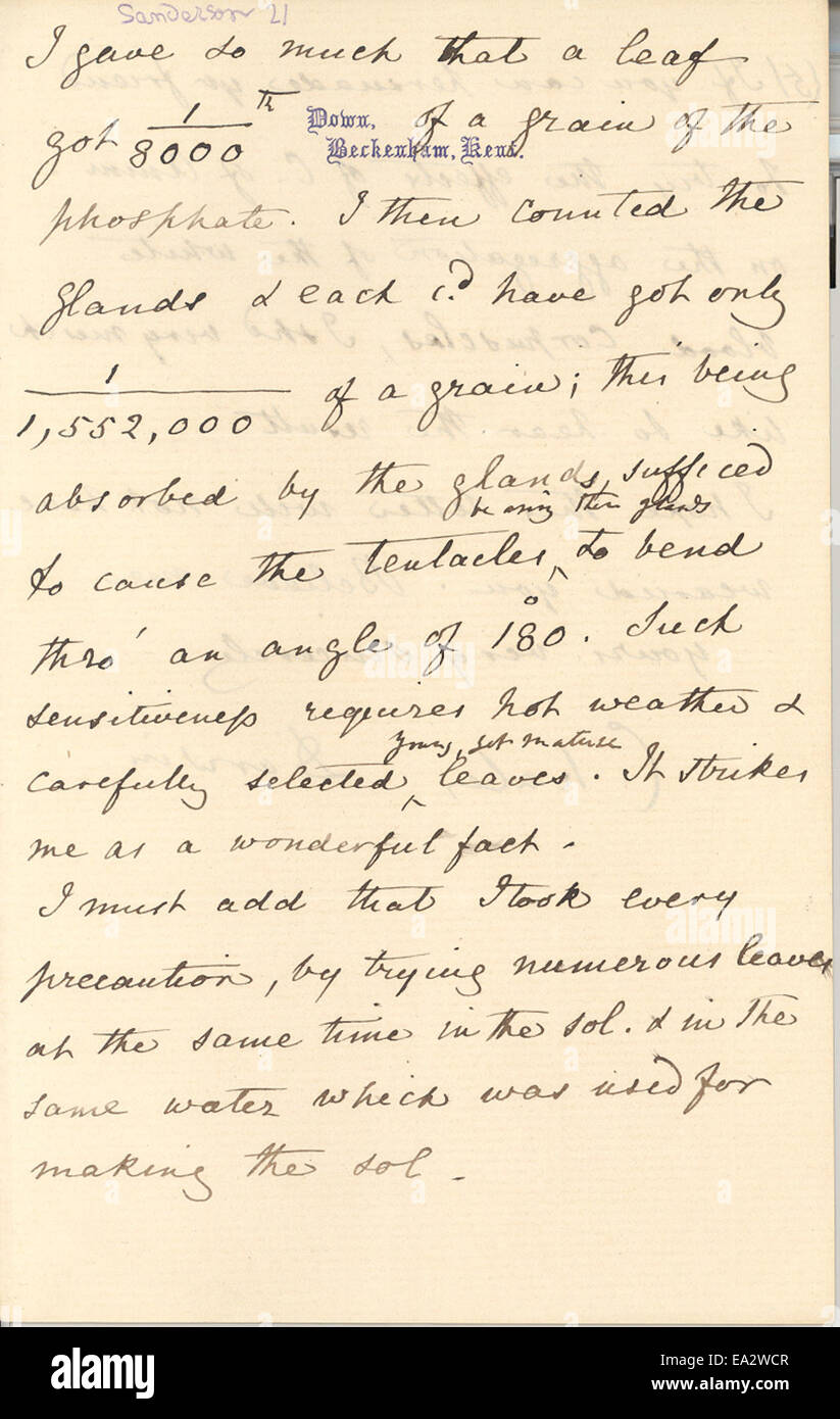 This piece highlights the work of colonial artists such as William ...