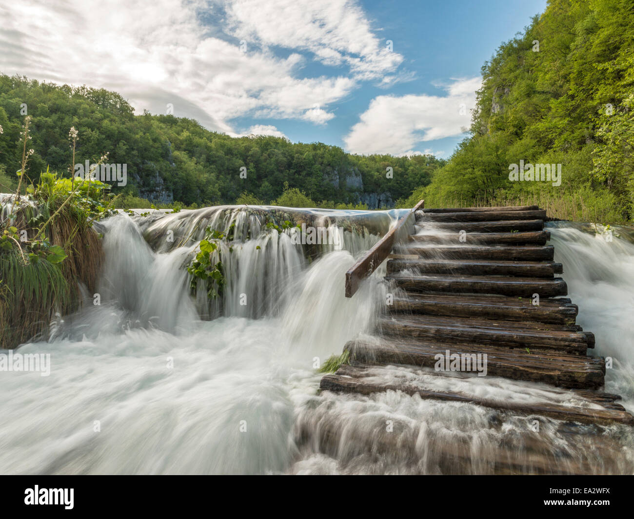 The wooden boardwalk traversing the North side of "Lake Korana ...