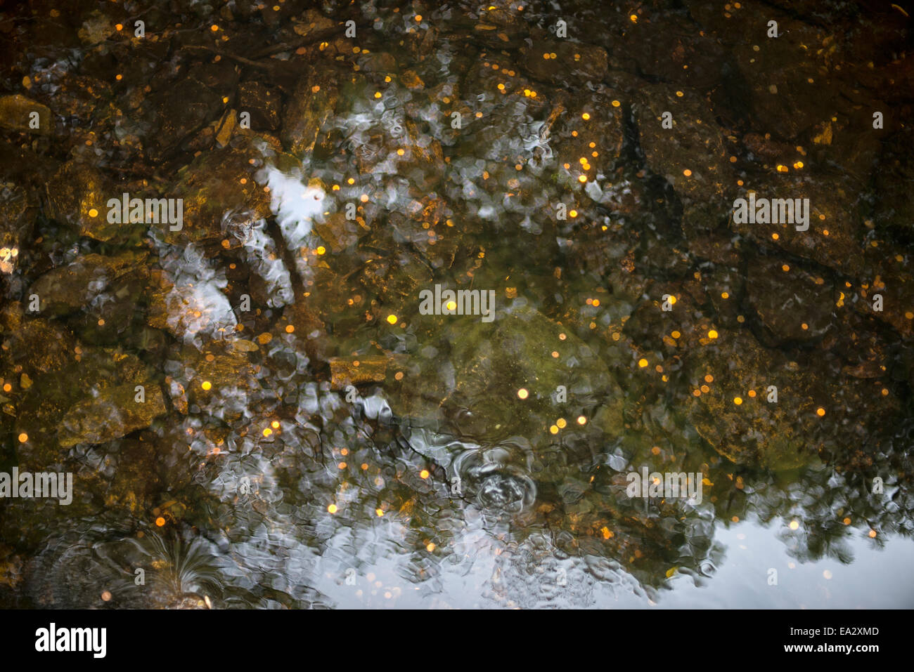 Coin Under Water High Resolution Stock Photography and Images - Alamy