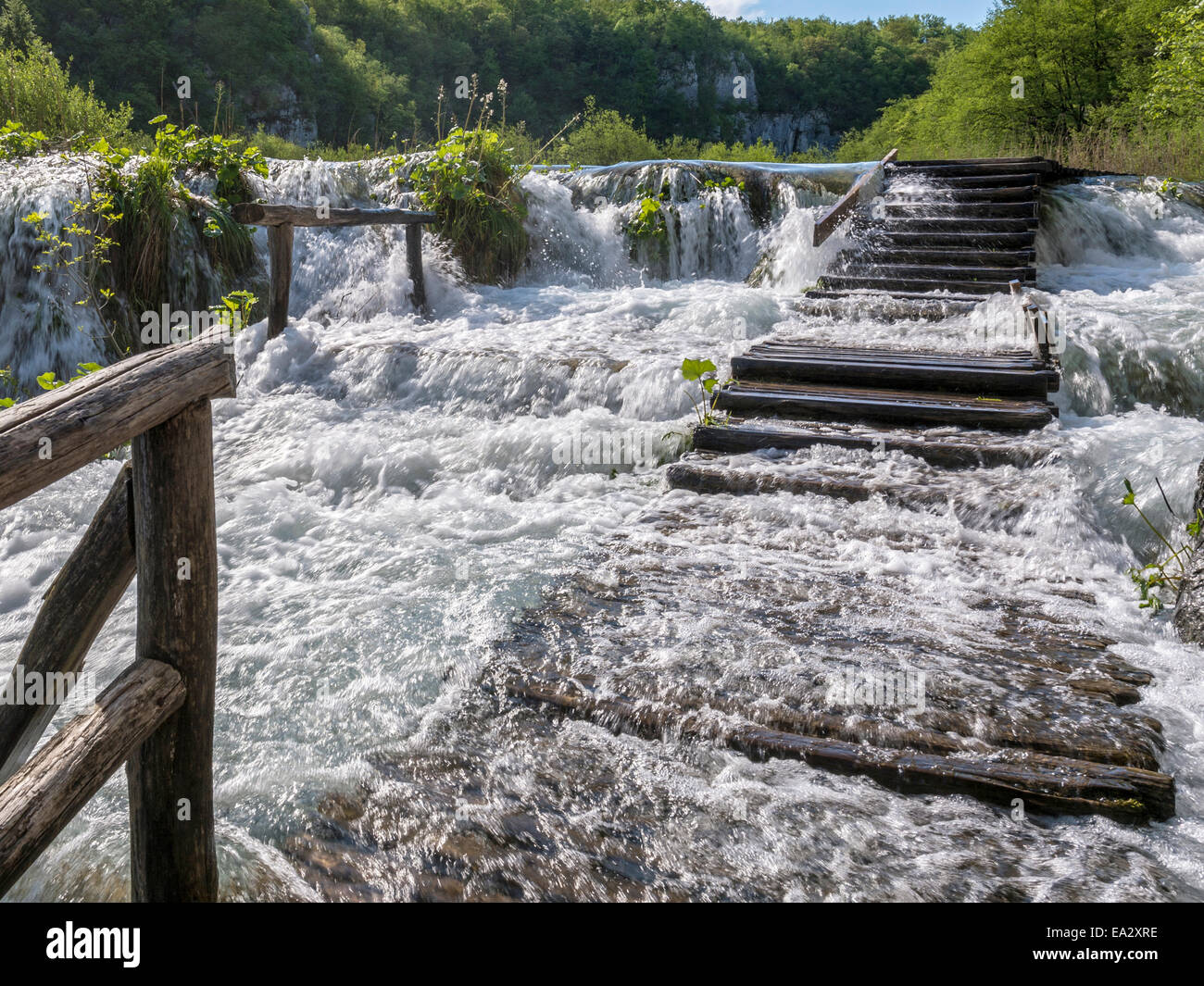 The wooden boardwalk traversing the North side of "Lake Korana ...