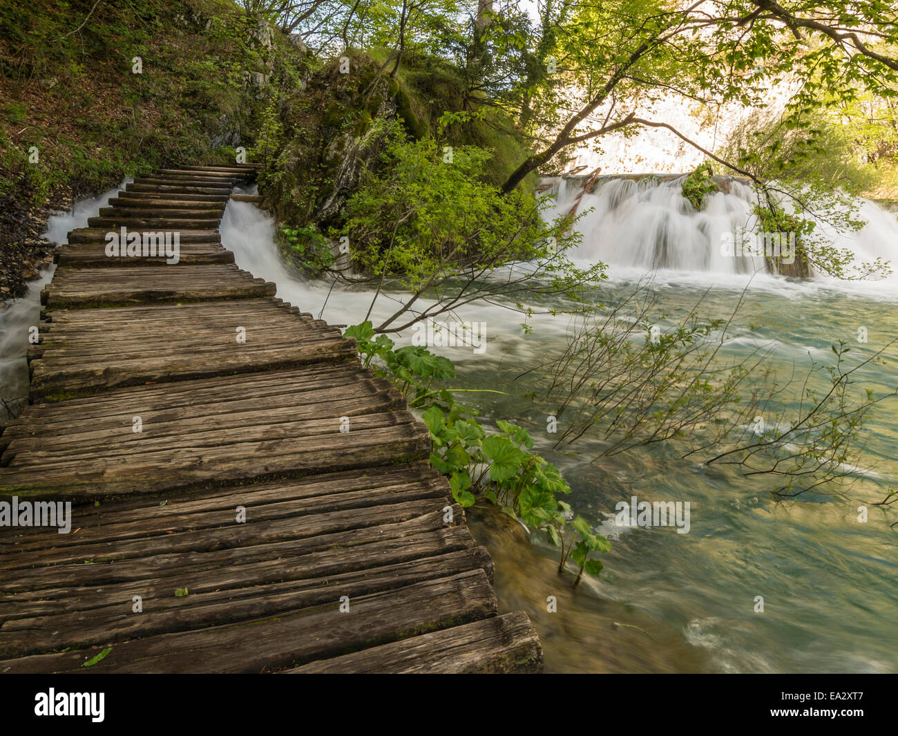 The wooden boardwalk traversing the south side of "Lake Korana ...