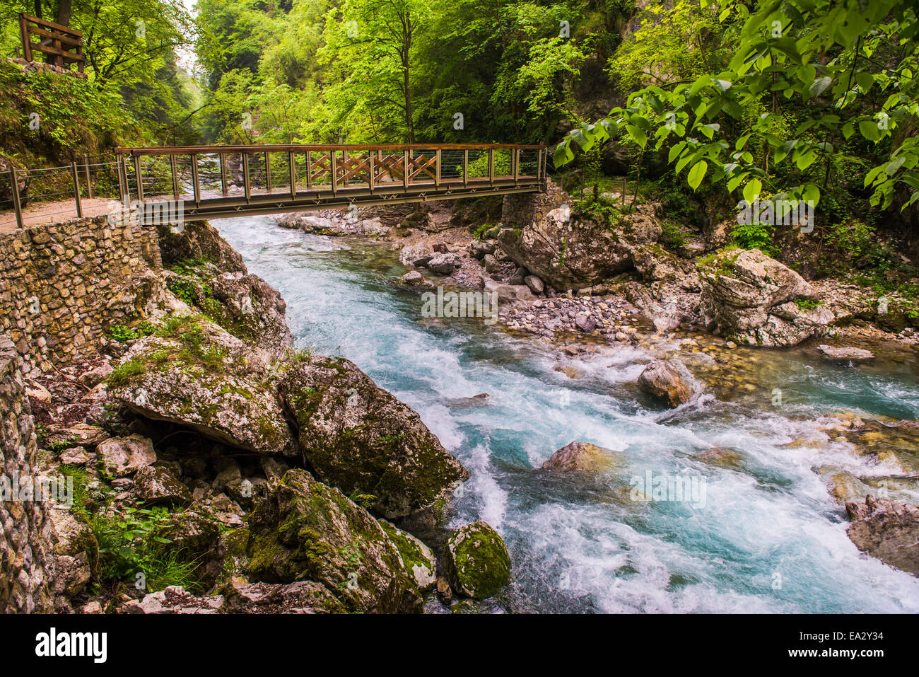 Bridge across the Zadlascica River Canyon, Tolman Gorges, Triglav ...