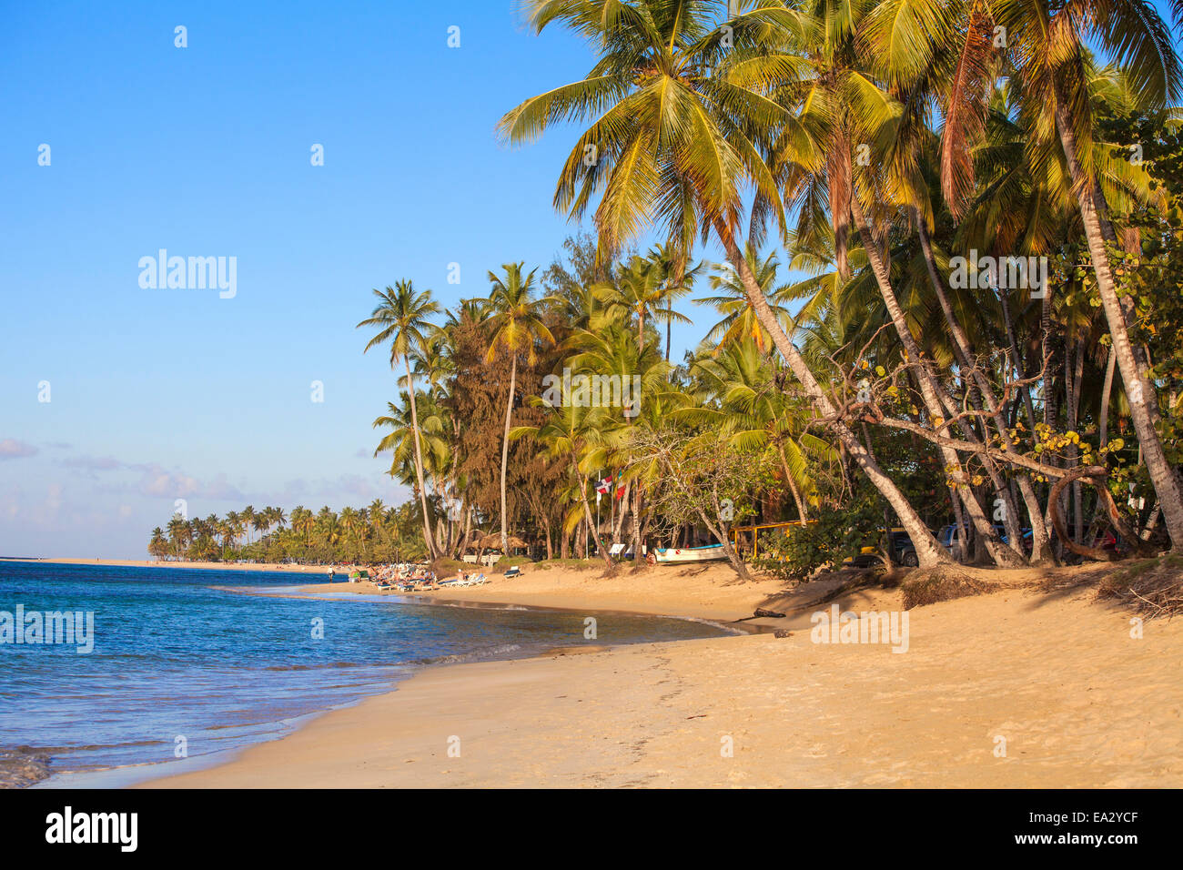 Samana beach hi-res stock photography and images - Alamy