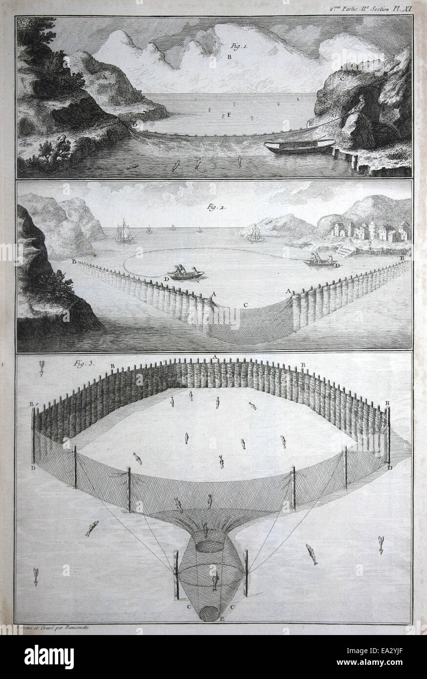 This photograph captures a moment of fishing activity, where nets are ...