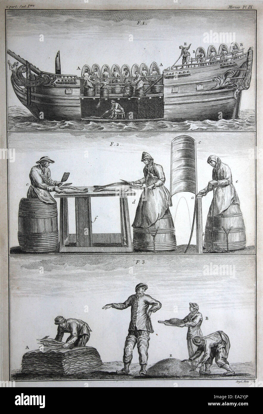 The process of salting and preparing fish is a traditional method used ...