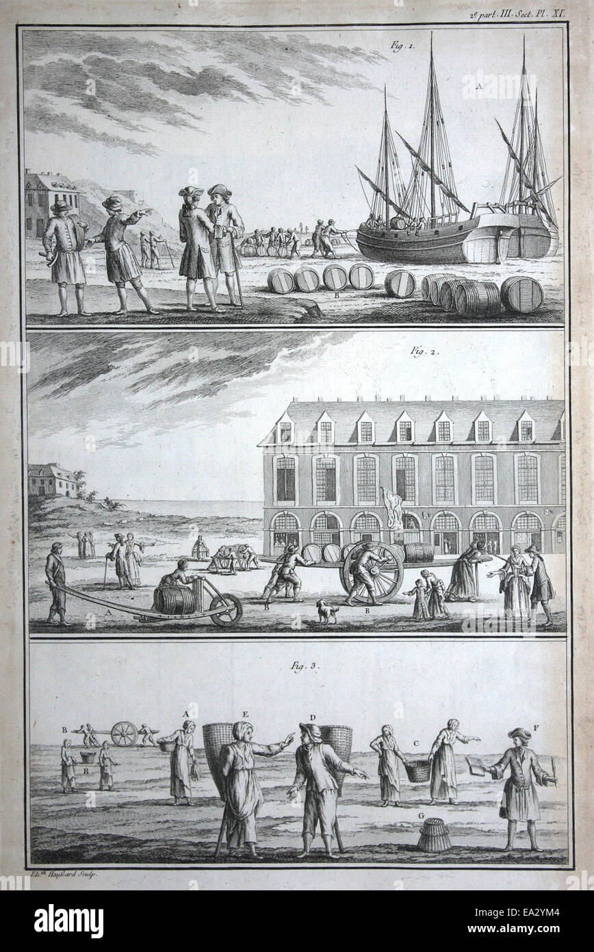 This scene depicts workers unloading and delivering freshly caught fish ...