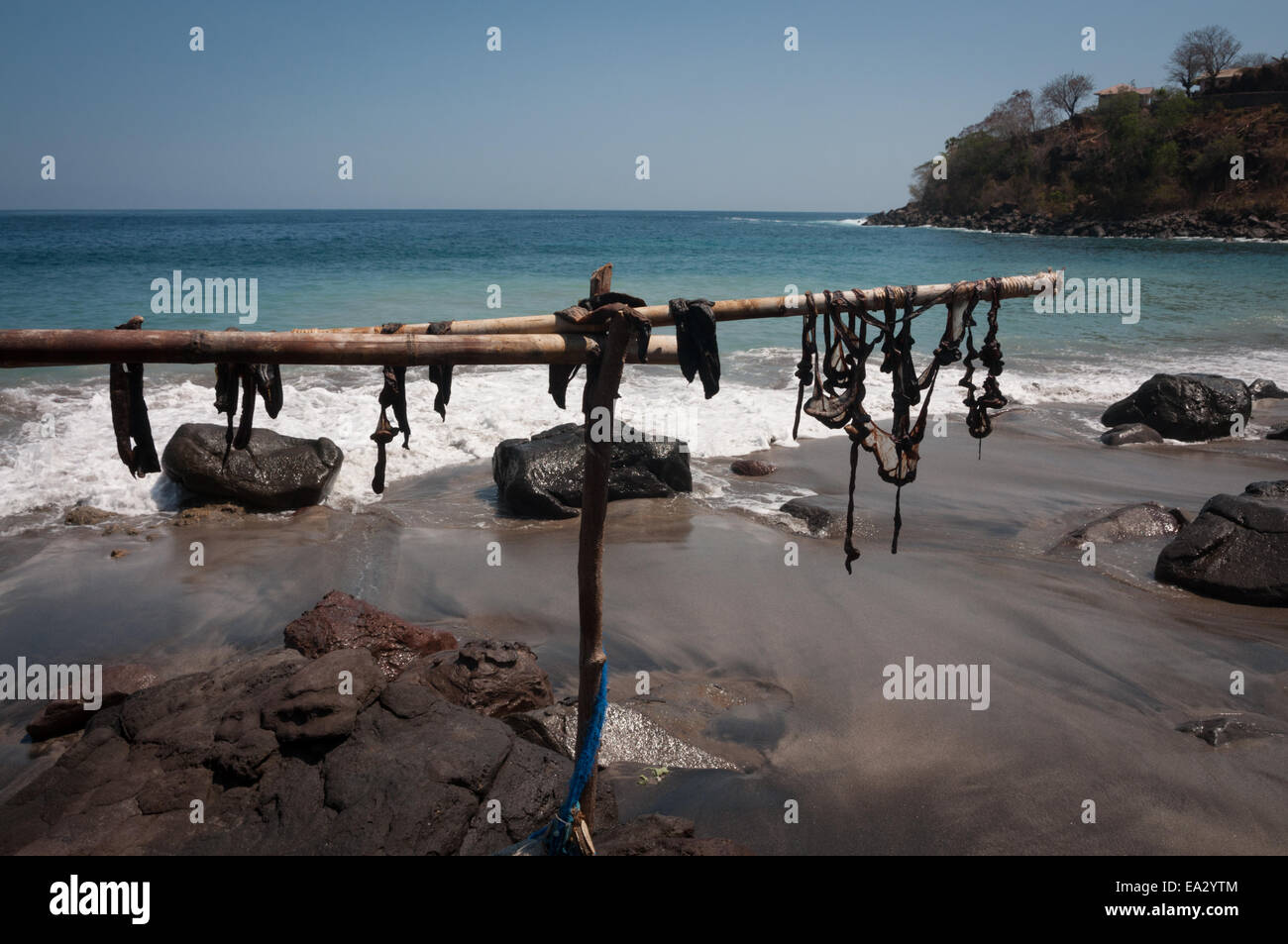 Whale skins and intestines being dried up under the sun in Lamalera ...