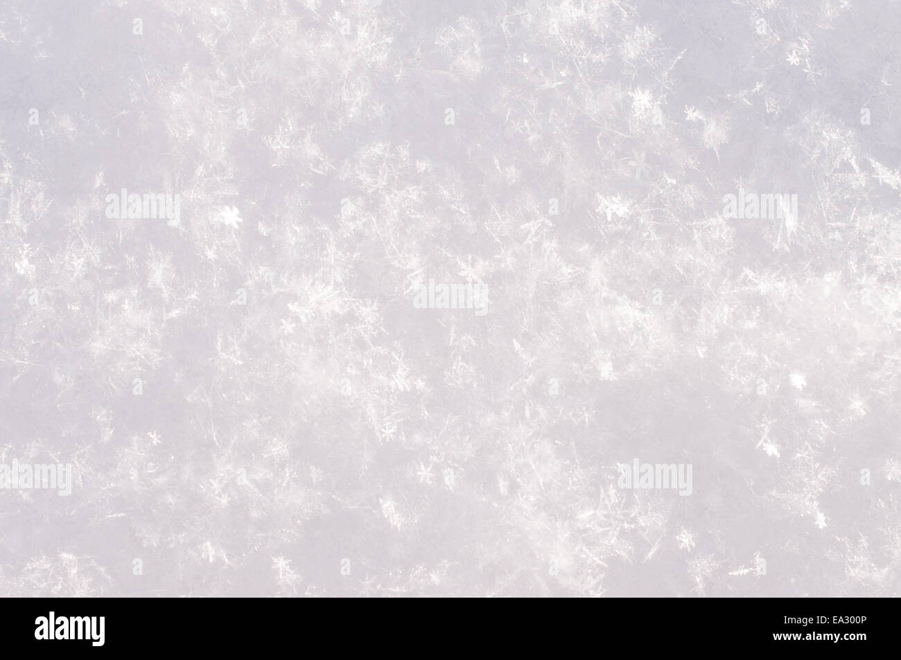 Real snow for the background closeup Stock Photo - Alamy