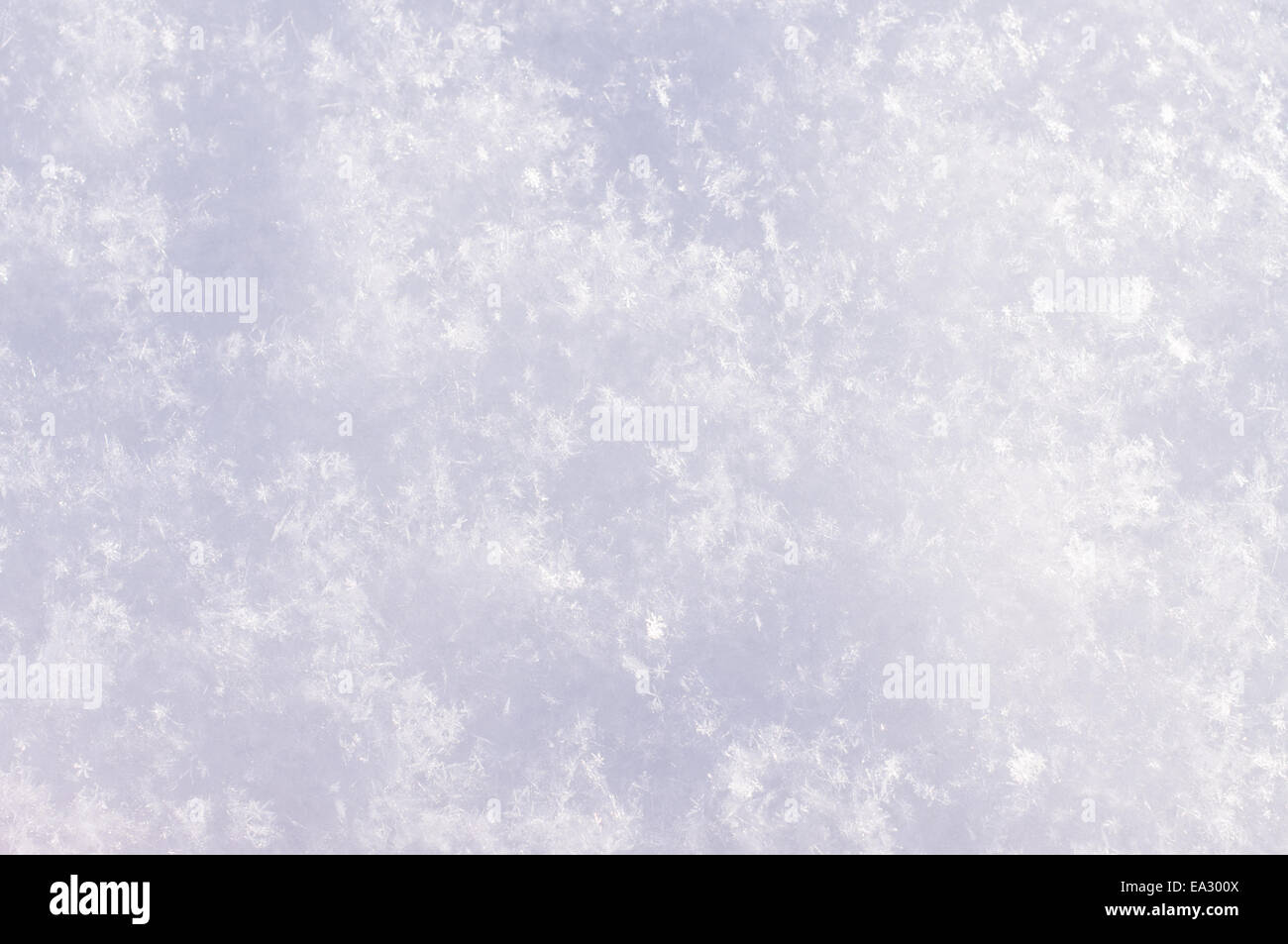 Real snow hi-res stock photography and images - Alamy