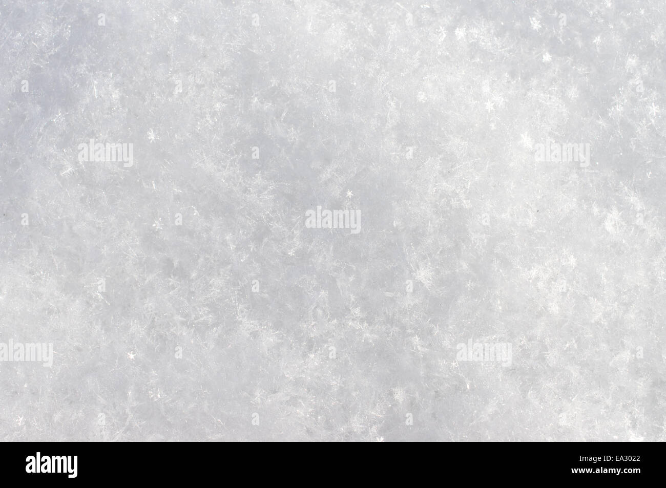 Real snow hi-res stock photography and images - Alamy