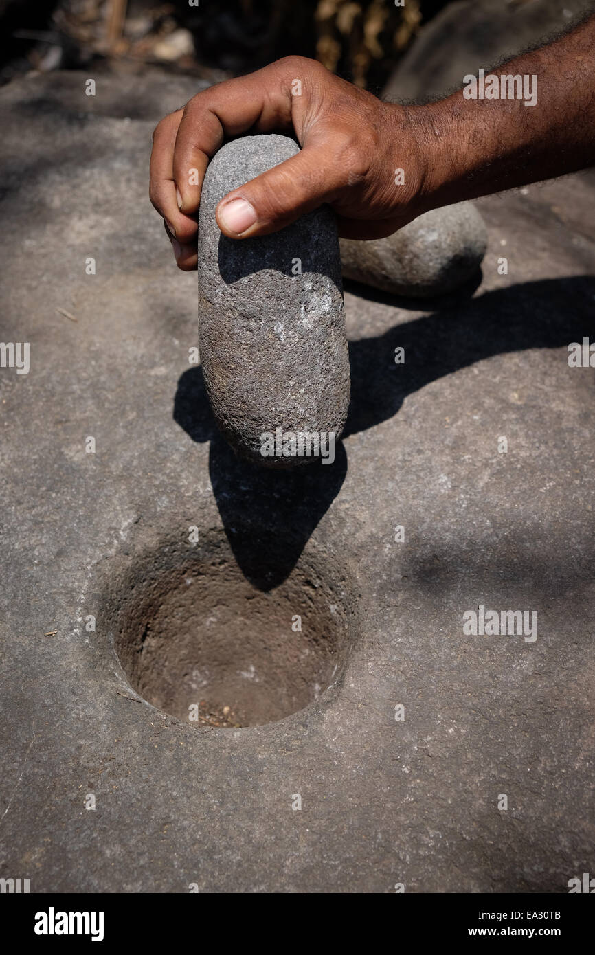 A man holds a traditional stone tool for mashing corn in Lembata Island ...