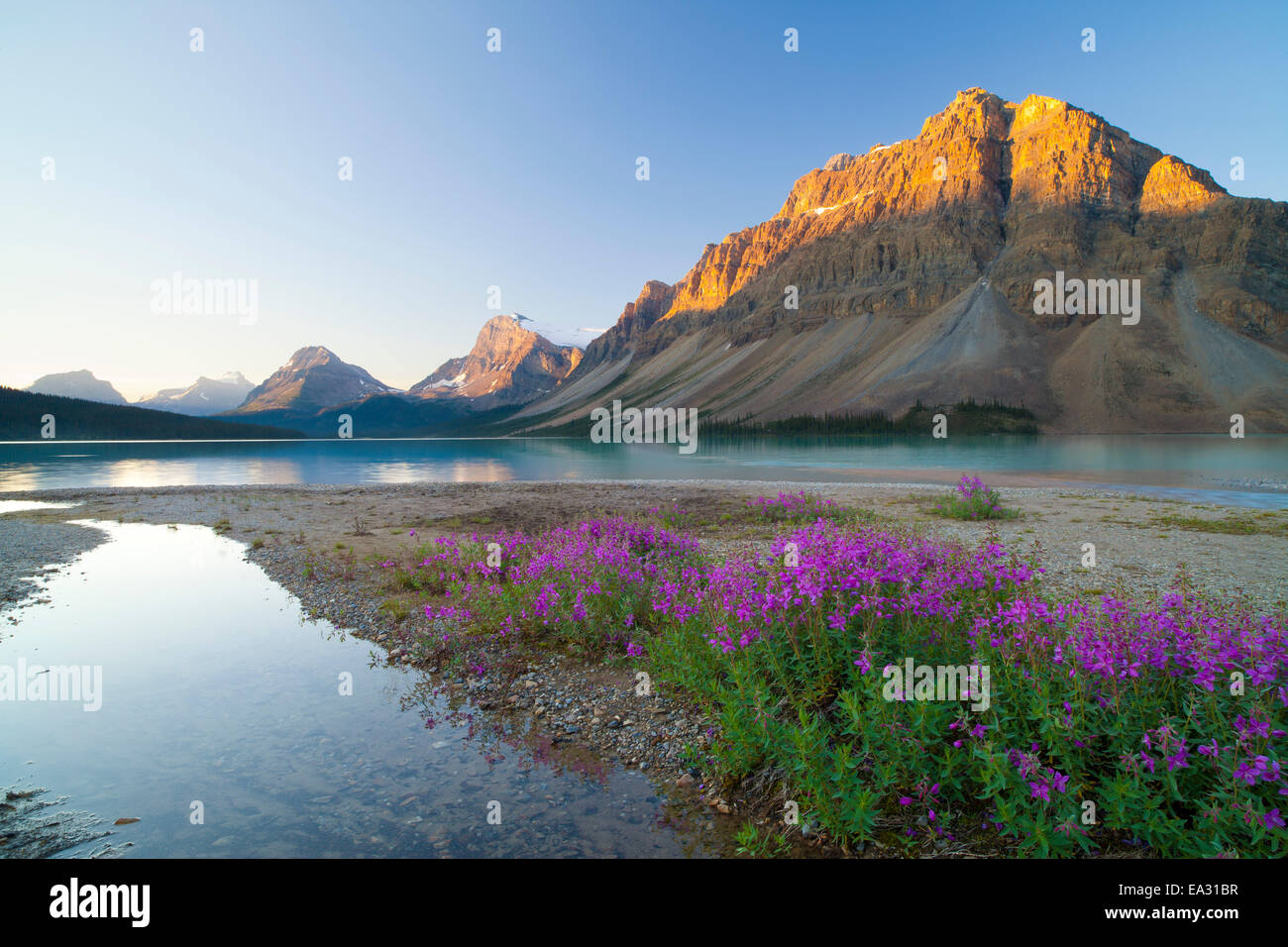 Bow Lake at sunrise, Banff National Park, UNESCO World Heritage Site ...