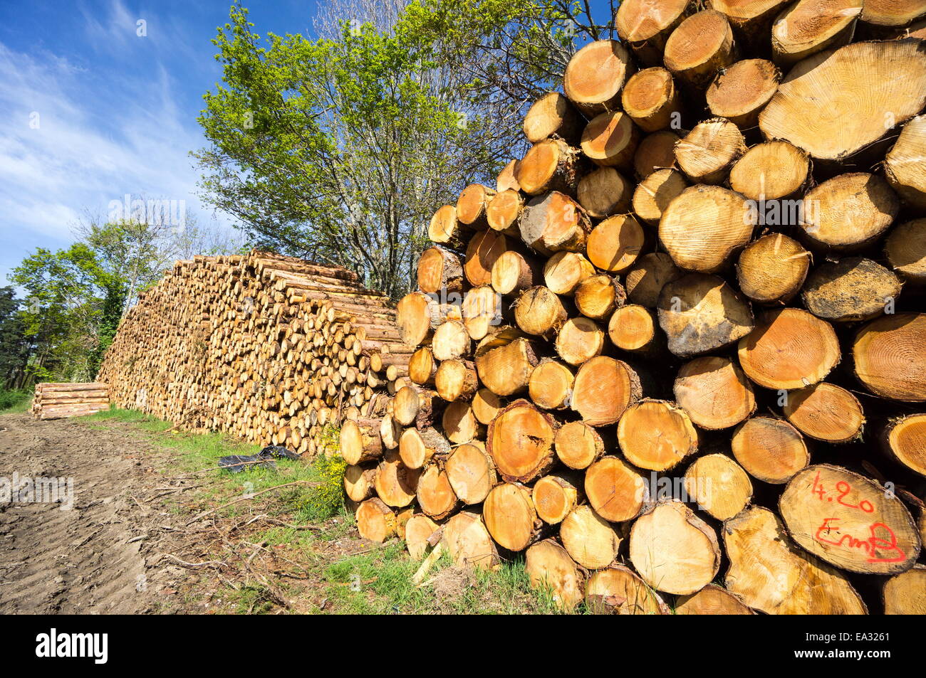 Logging culture hi-res stock photography and images - Alamy