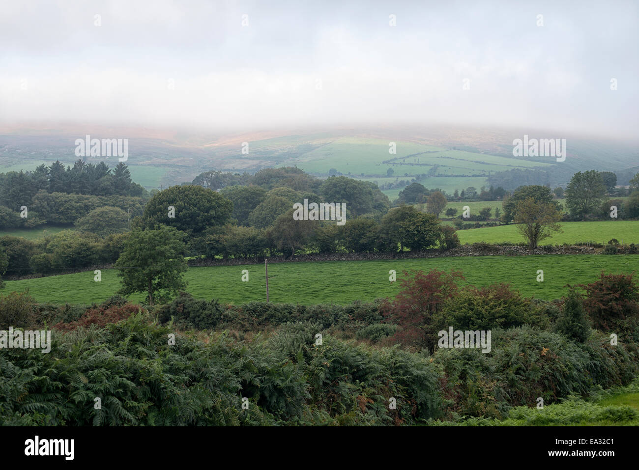 Ireland fog hi-res stock photography and images - Alamy