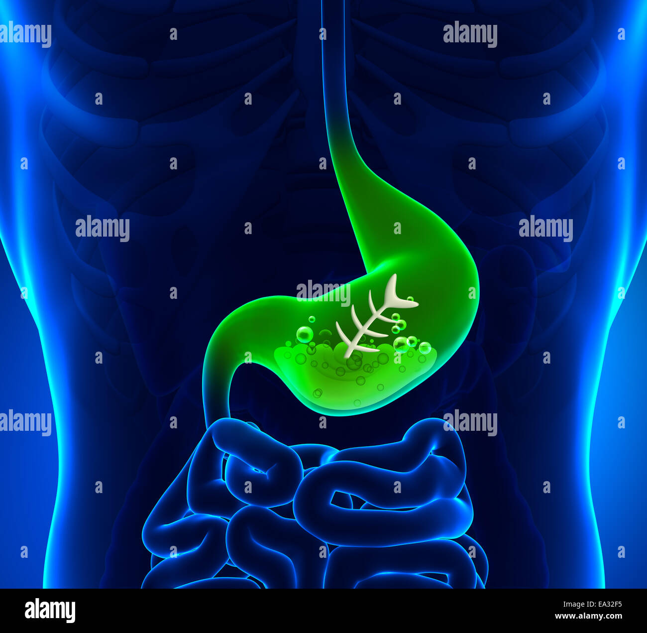 Upset stomach - Stomach Ache Stock Photo - Alamy