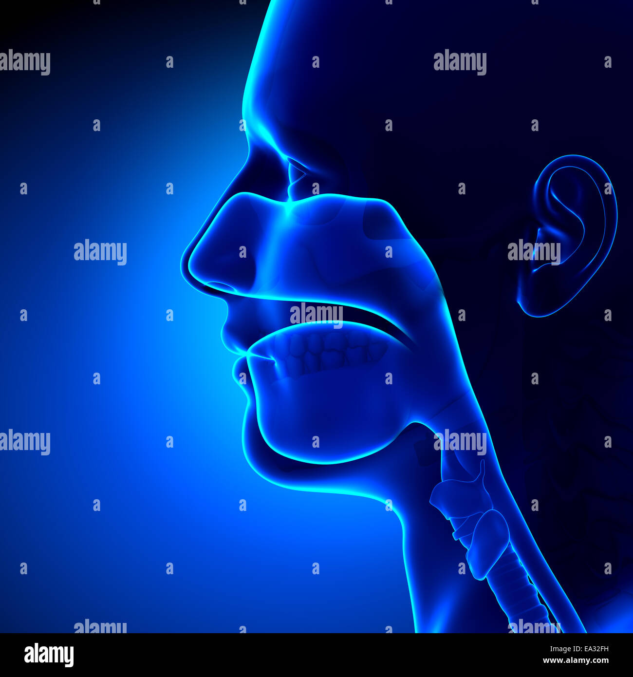 Clear nasal congestion hi-res stock photography and images - Alamy
