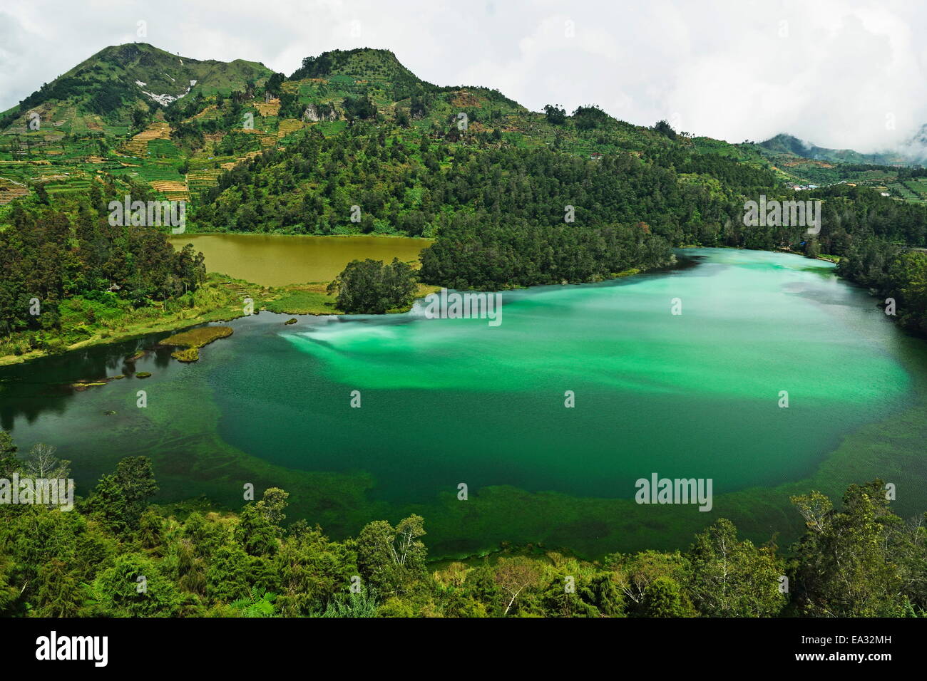 Telaga Warna (Colorful Lake), Dieng Plateau, Java, Indonesia, Southeast ...