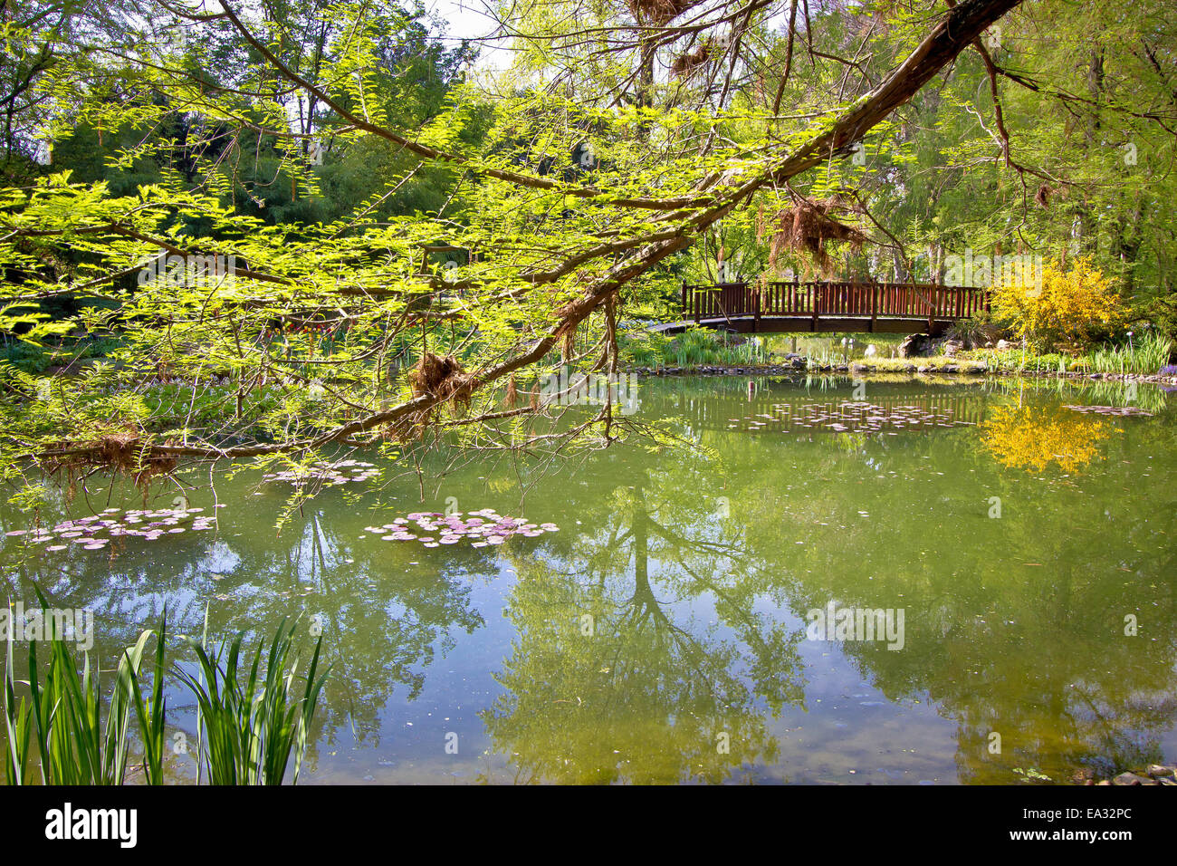 Botanical garden lake spring view Stock Photo - Alamy