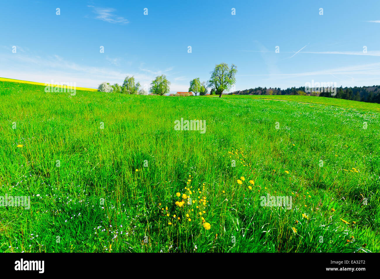 Pastoral pastures hi-res stock photography and images - Alamy