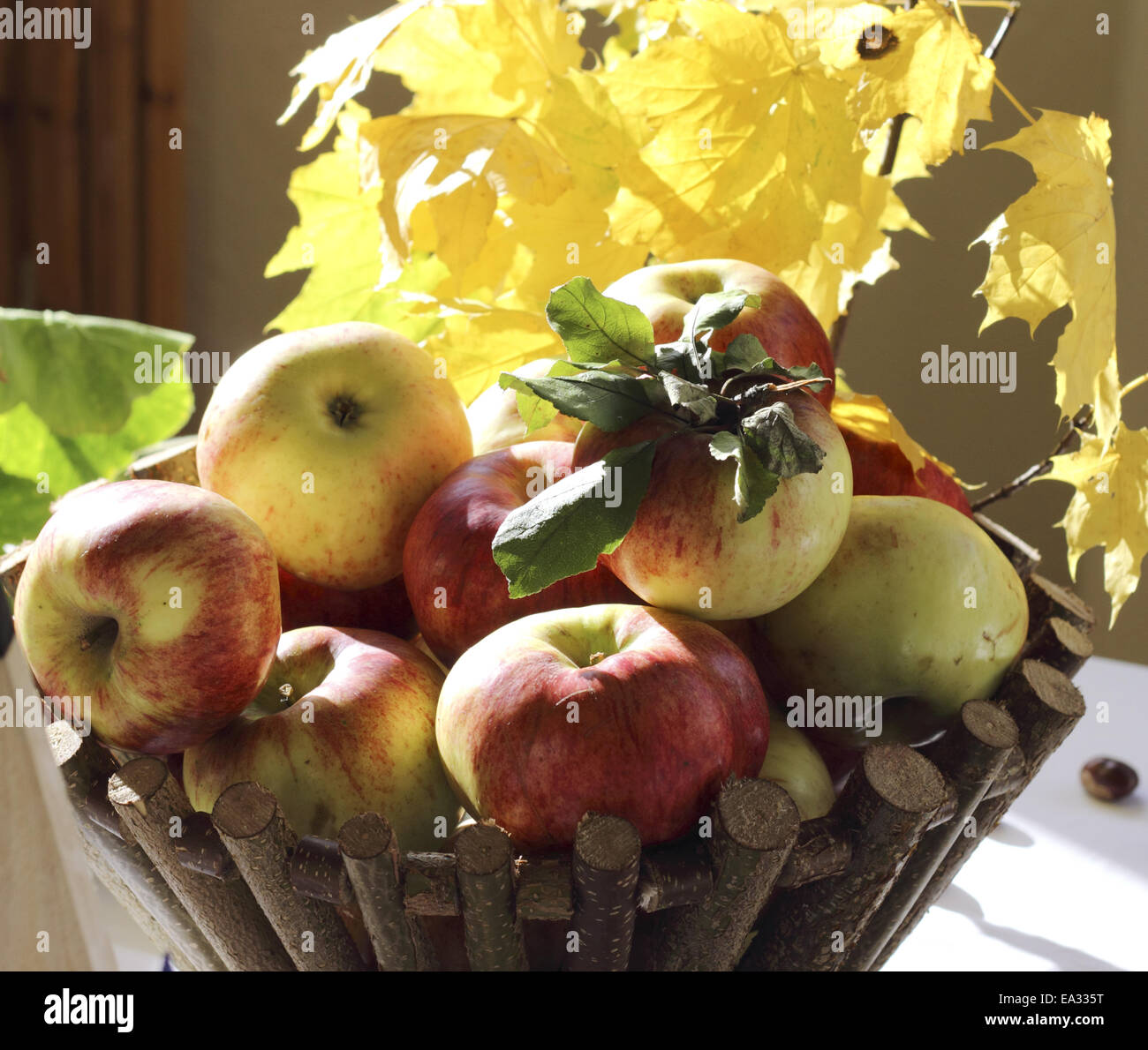 Basket apple tree hi-res stock photography and images - Alamy