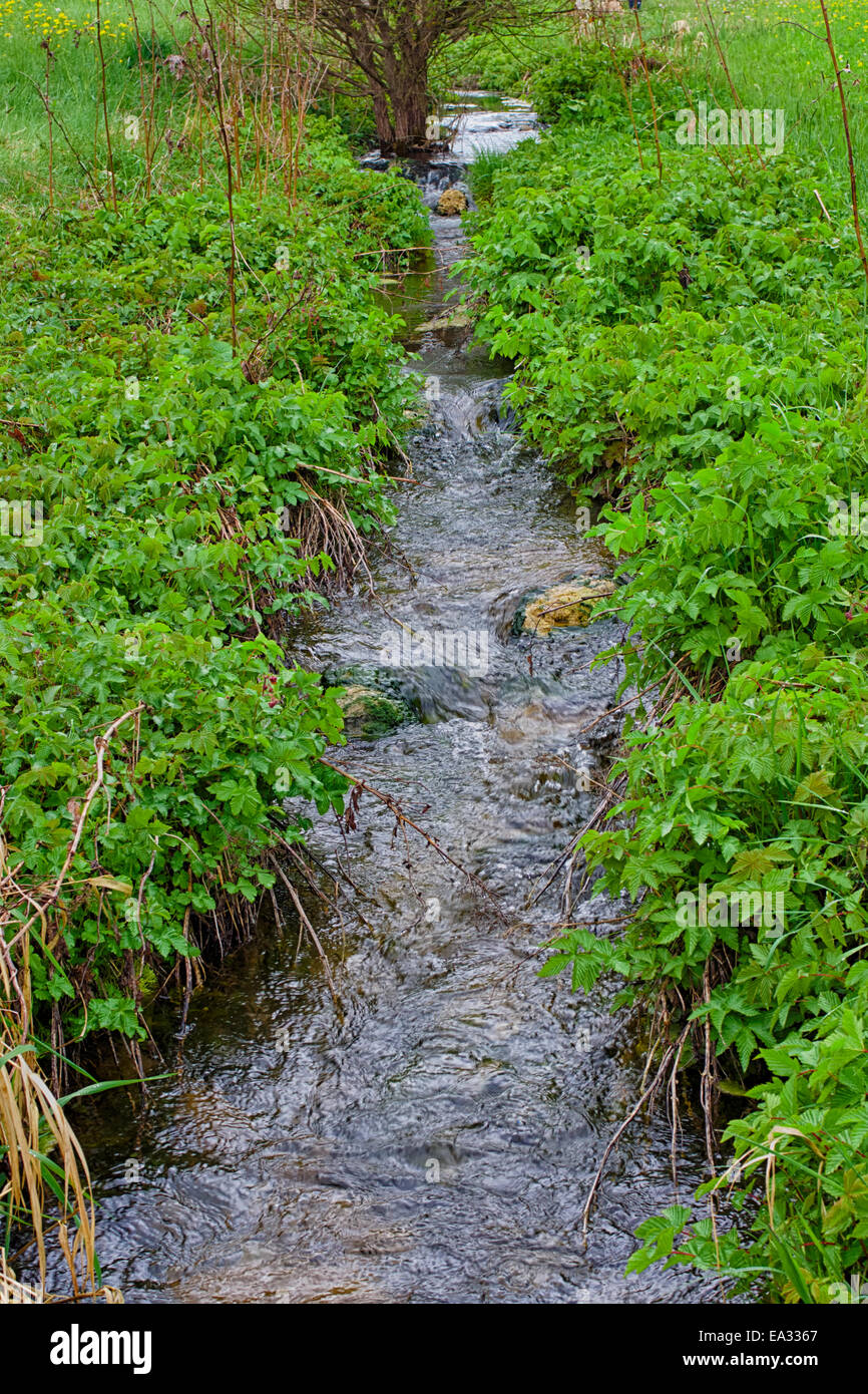 Spring in black forest Stock Photo - Alamy