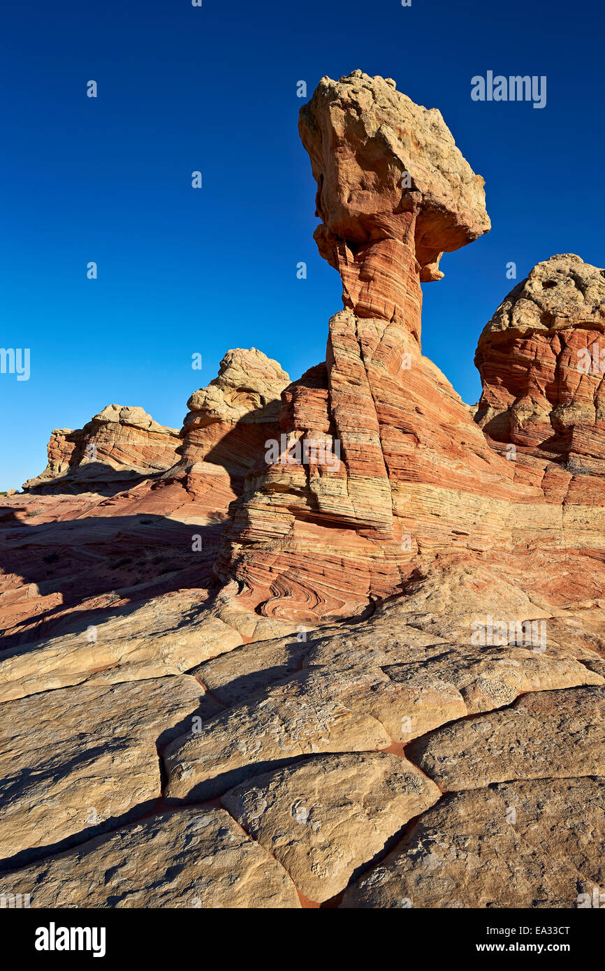Sandstone formations, Coyote Buttes Wilderness, Vermilion Cliffs ...