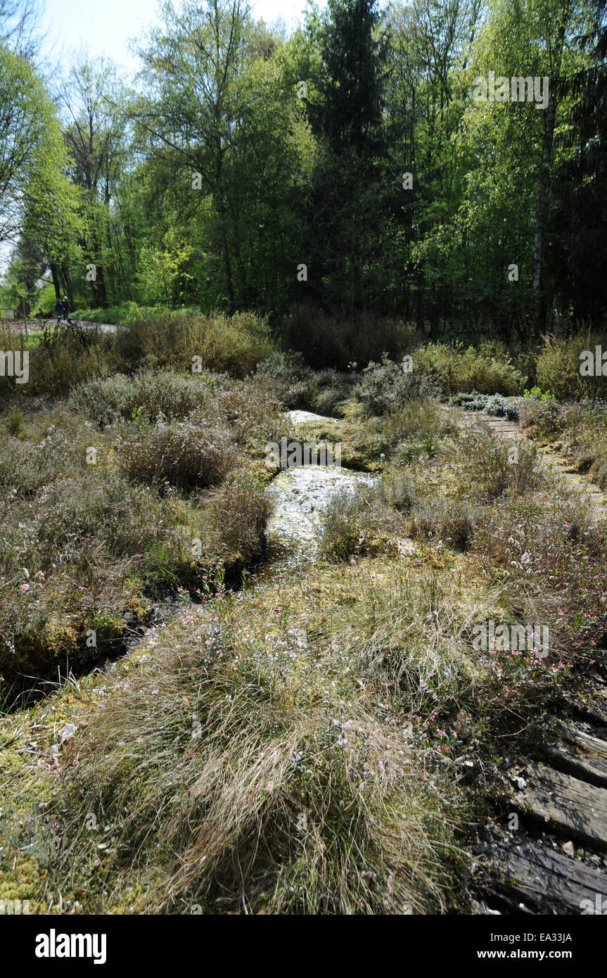 Tundra bog hi-res stock photography and images - Alamy