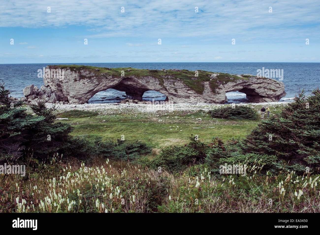 Huge arch in the Natural Bridges State Park, Newfoundland, Canada ...