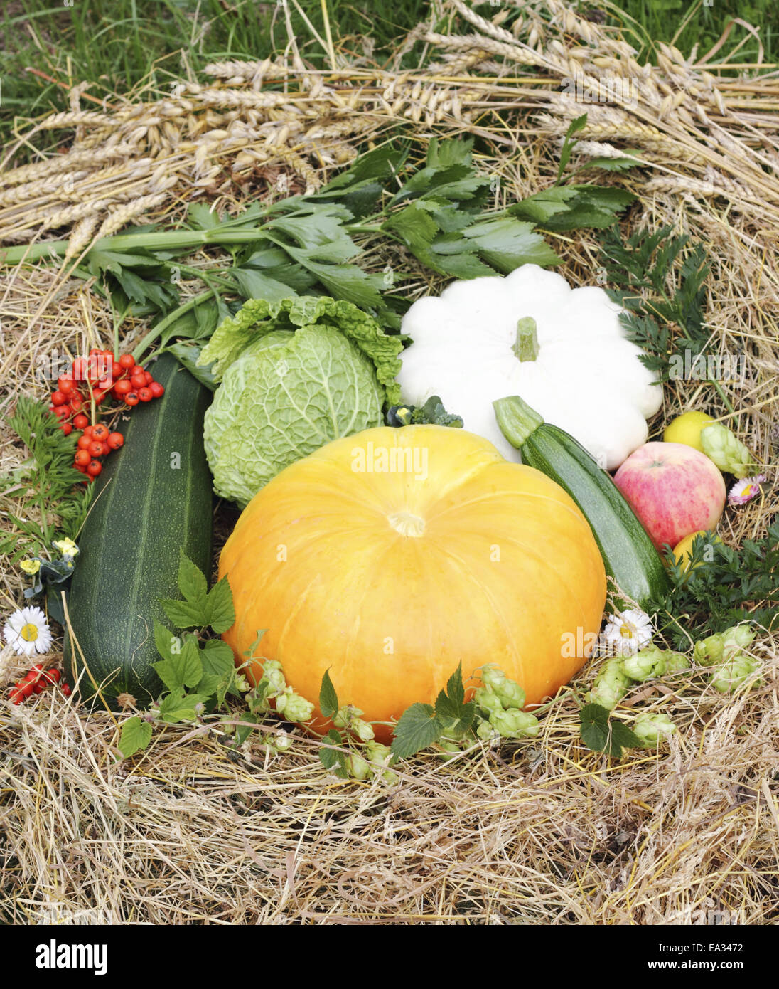 Goodies hi-res stock photography and images - Alamy