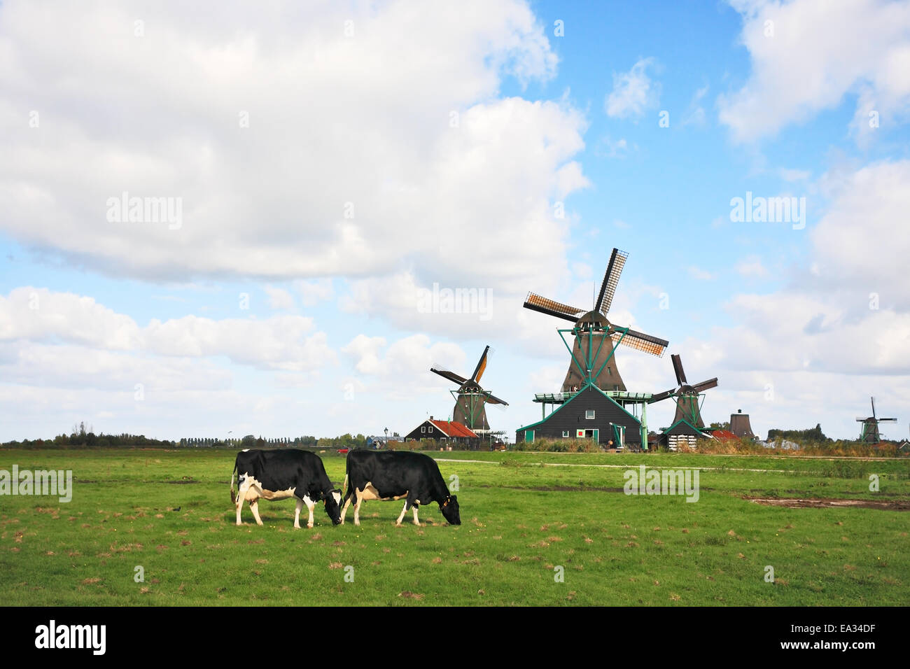 Green grass field with windmills Stock Photo - Alamy