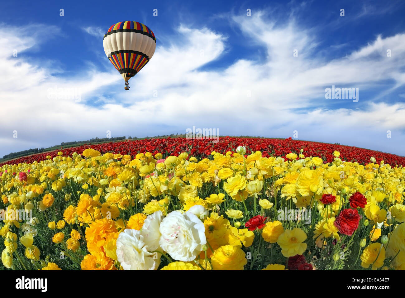Wonderful spring mood Stock Photo - Alamy