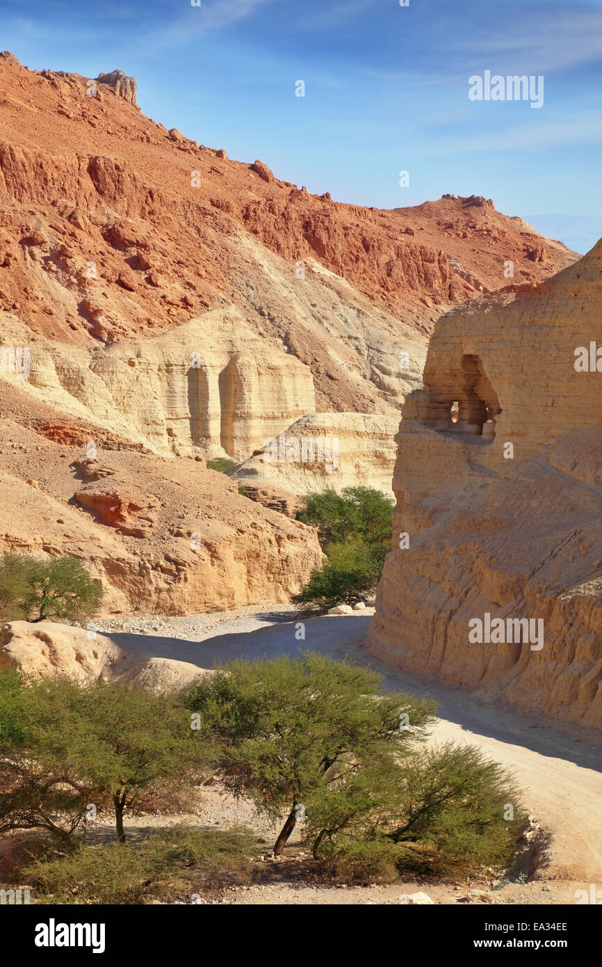 The warm winter morning Stock Photo - Alamy