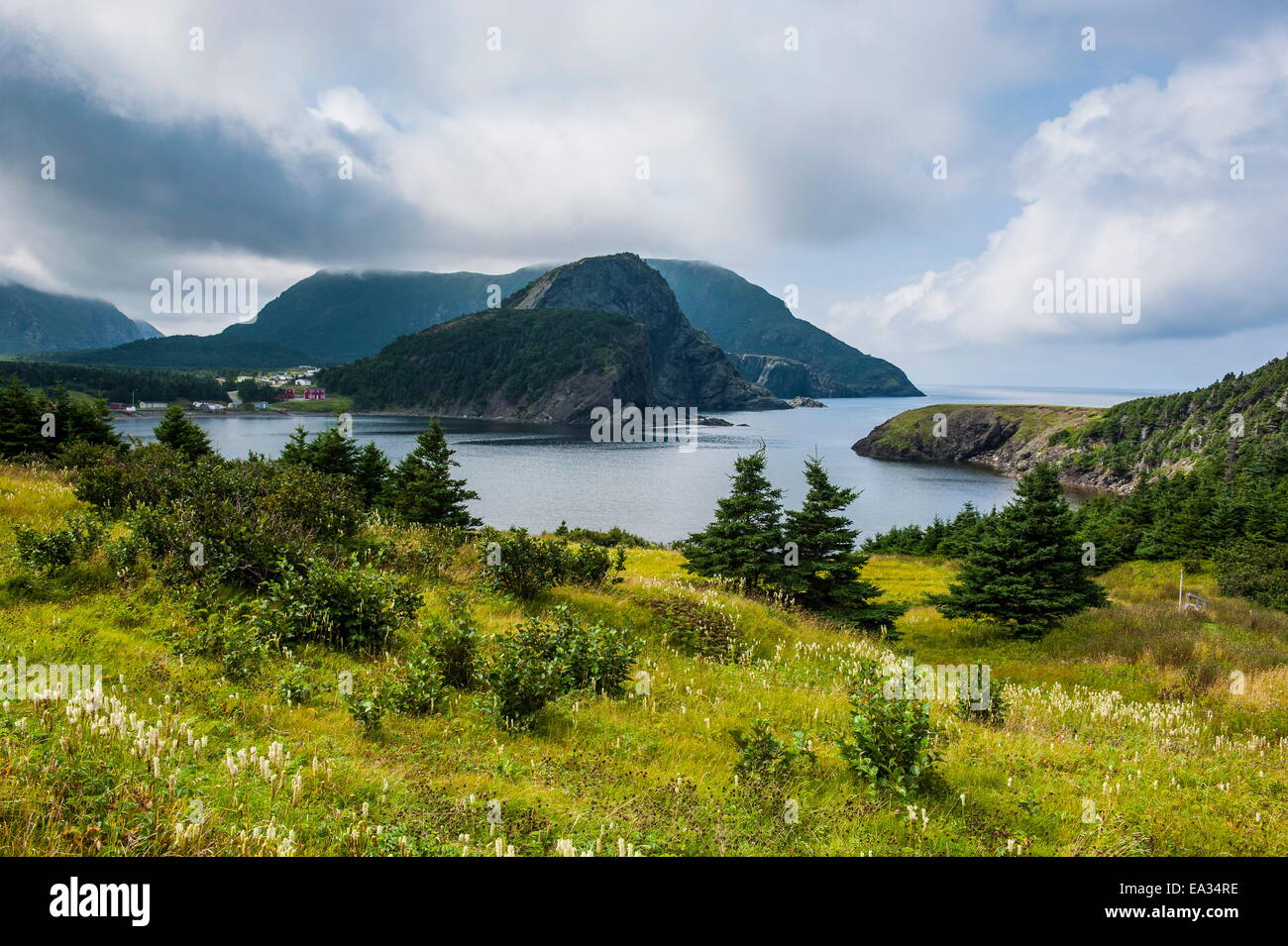 Corner brook hi-res stock photography and images - Alamy