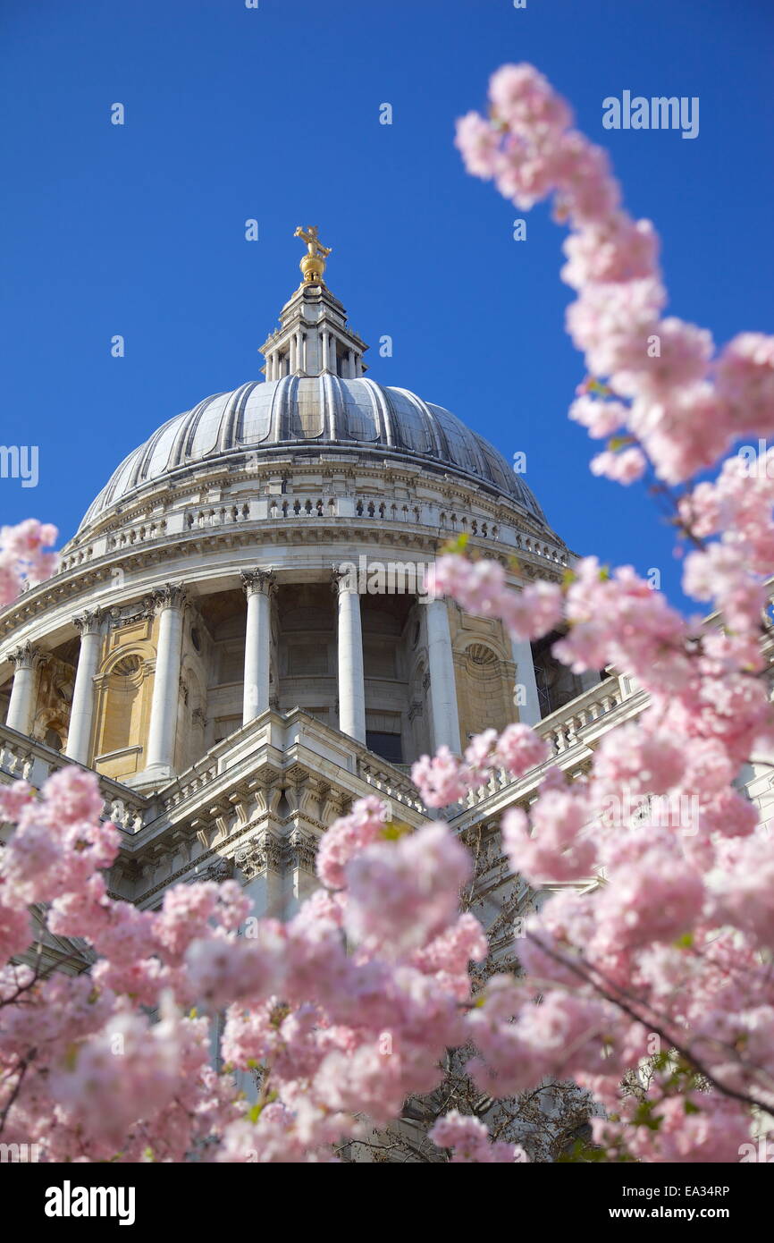 Spring london hi-res stock photography and images - Alamy