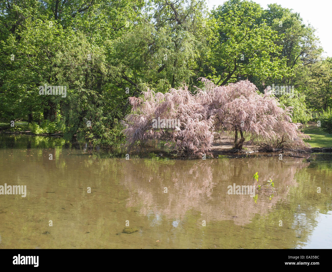 Milan parks hi-res stock photography and images - Alamy