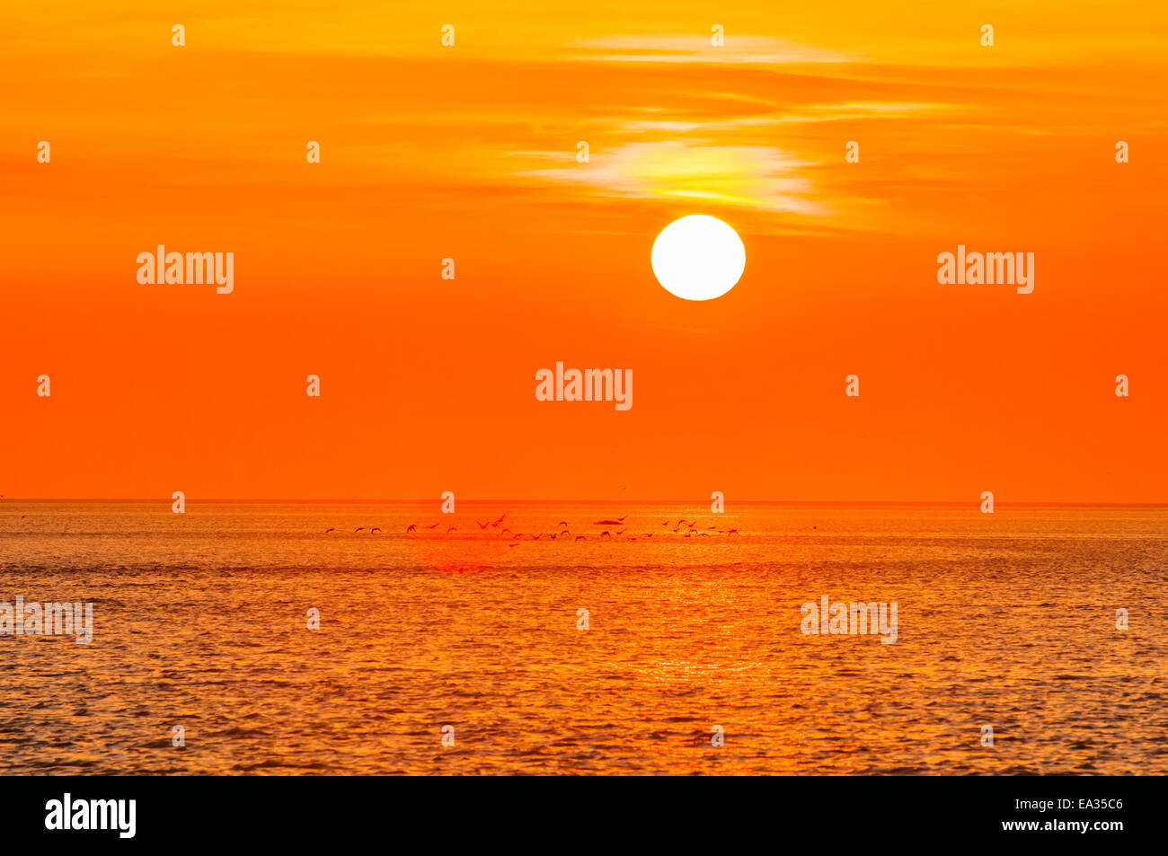 Multiple destination hi-res stock photography and images - Alamy