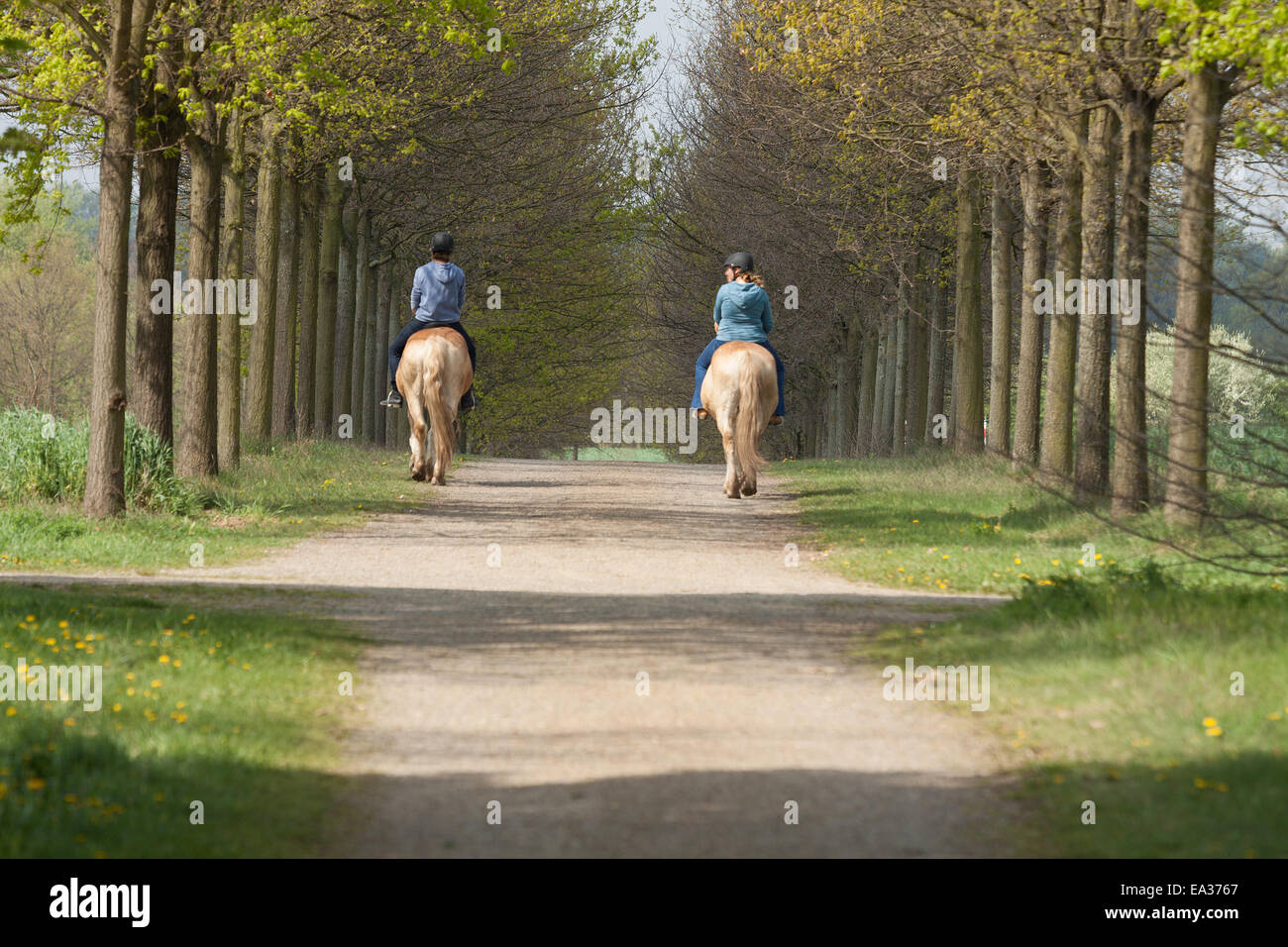 Two horse riders Stock Photo - Alamy