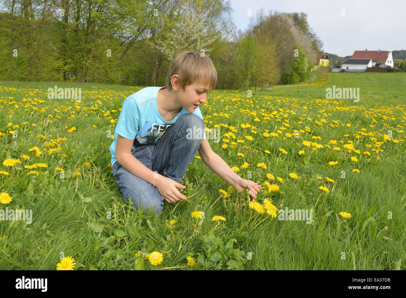 Spring jump hi-res stock photography and images - Alamy
