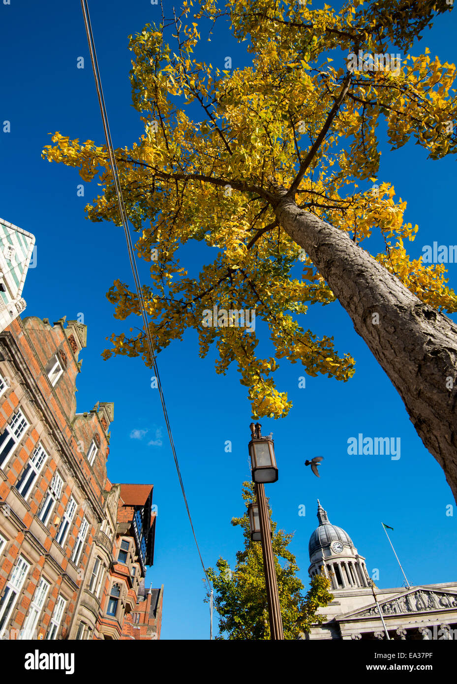 Autumn in the Market Square in Nottingham City, England UK Stock Photo ...