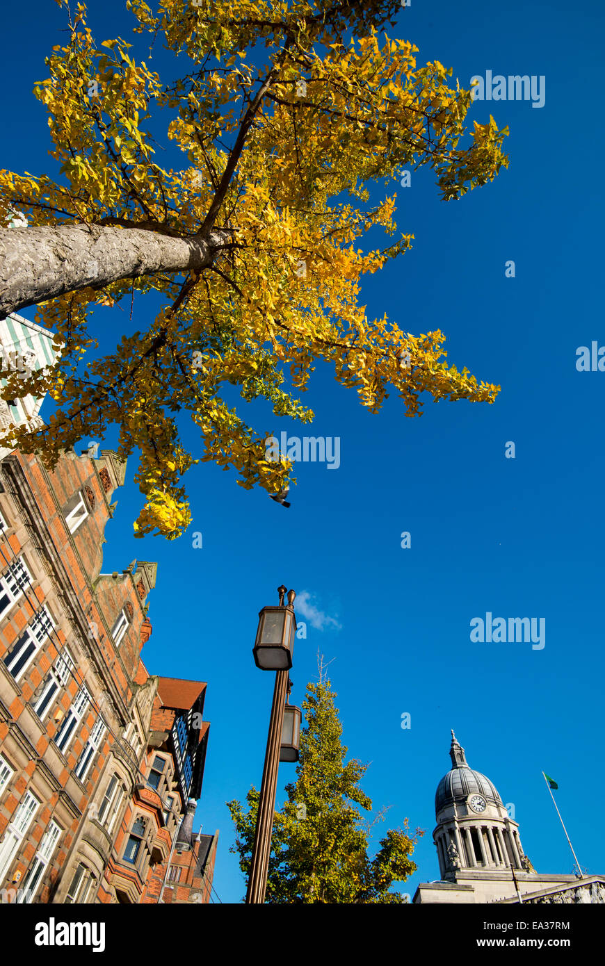 Autumn in the Market Square in Nottingham City, England UK Stock Photo ...