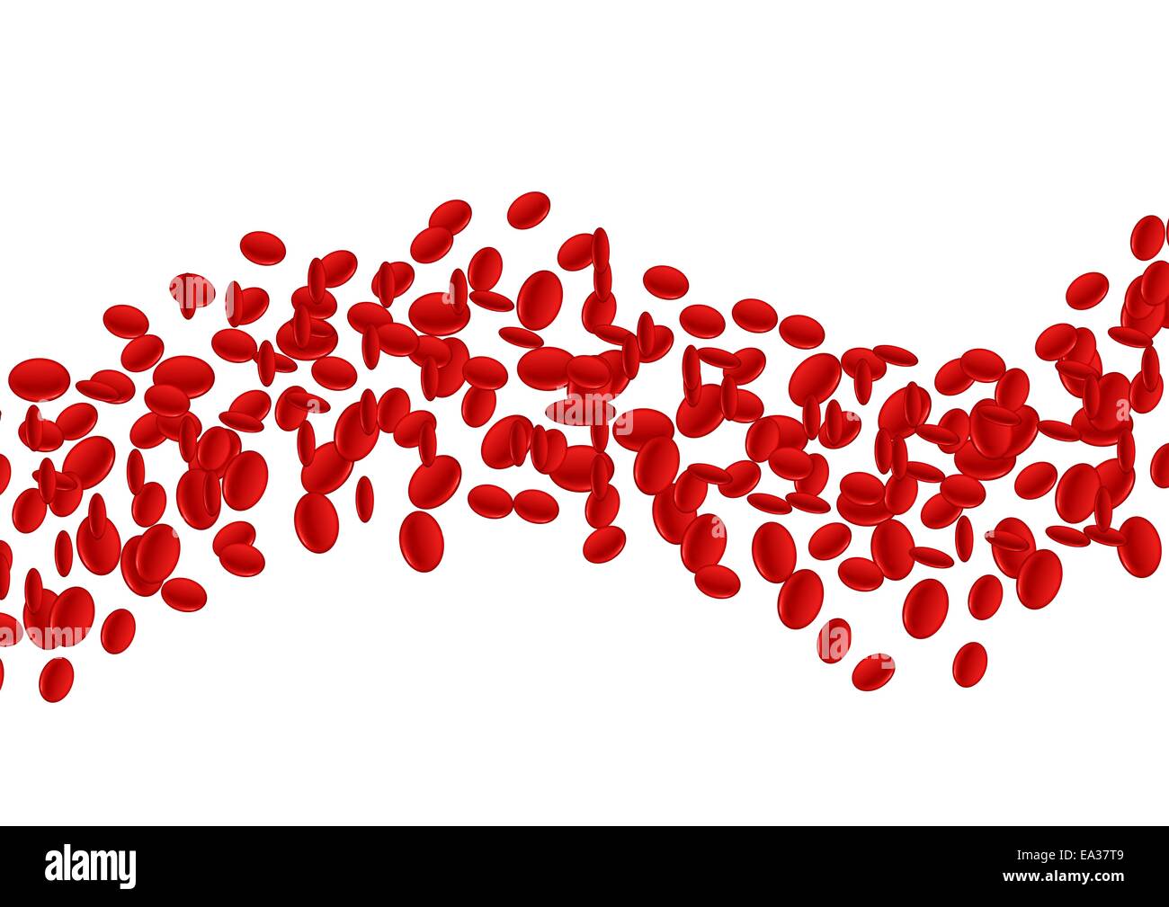 view on stream of cells of blood Stock Photo - Alamy