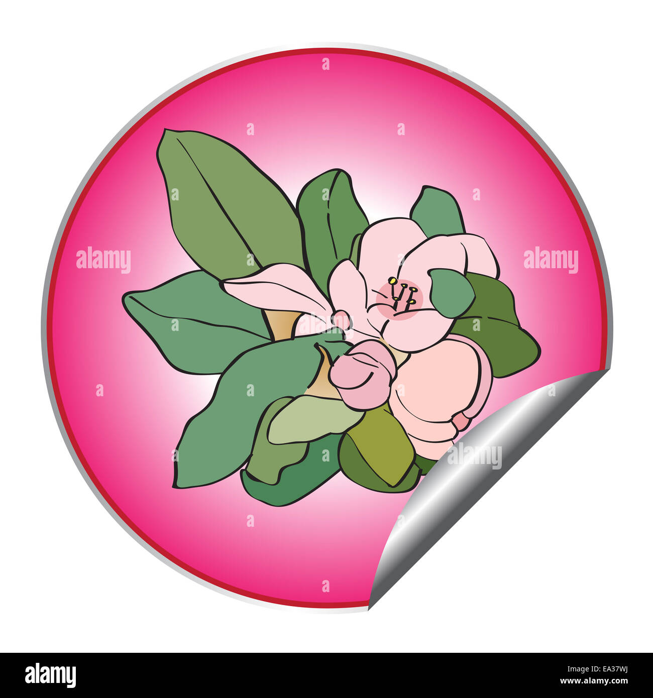spring flower sticker Stock Photo - Alamy