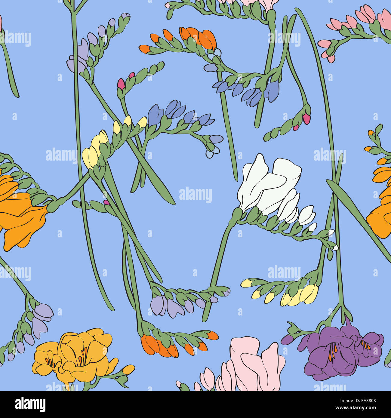 Decorative freesia hi-res stock photography and images - Alamy