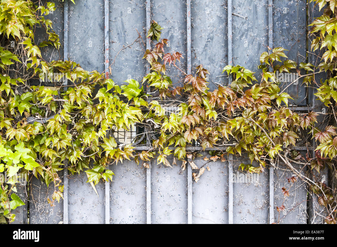 Vegetated structure hi-res stock photography and images - Alamy
