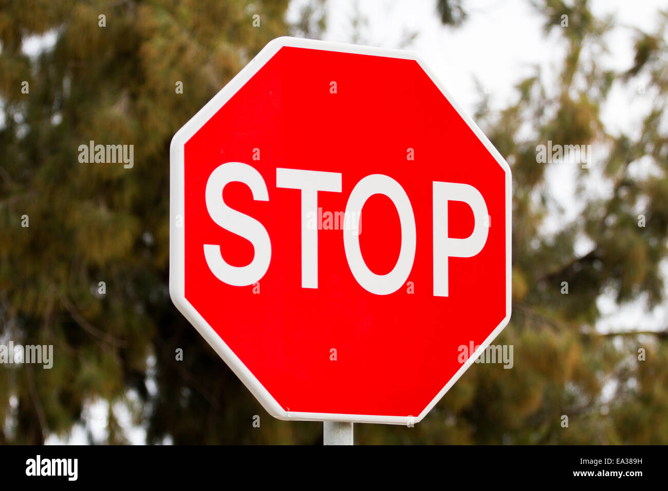 Stop sign close Stock Photo - Alamy