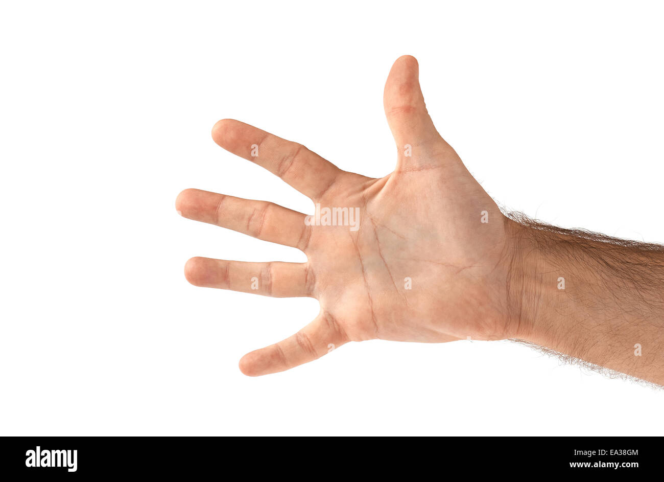 Male hand showing stop close up hi-res stock photography and images - Alamy