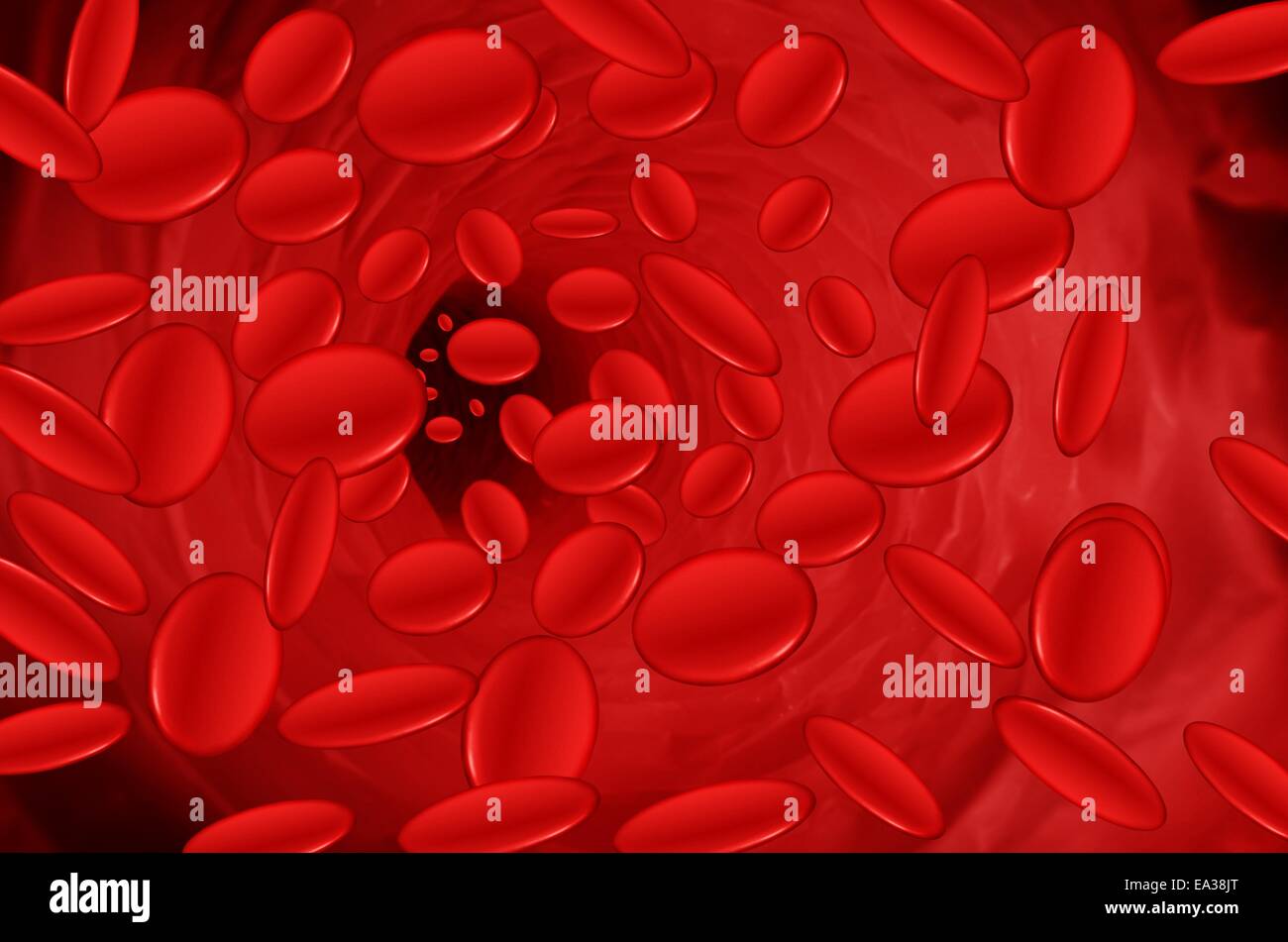 view on stream of cells of blood Stock Photo - Alamy