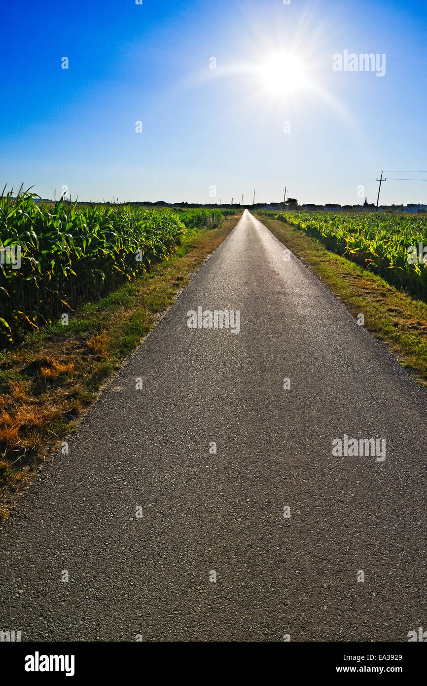 Straight into sun hi-res stock photography and images - Alamy