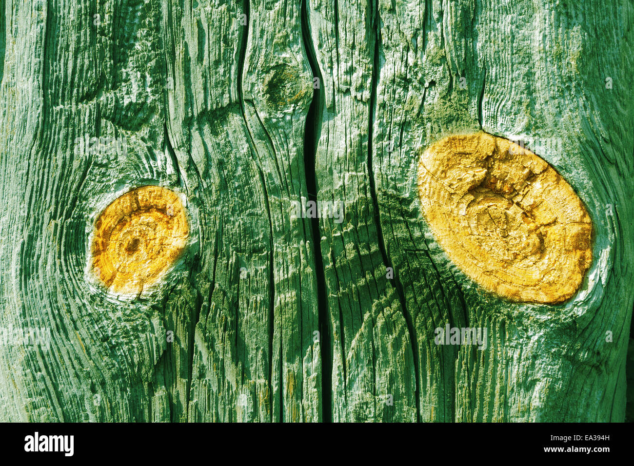 wood with eyes Stock Photo - Alamy