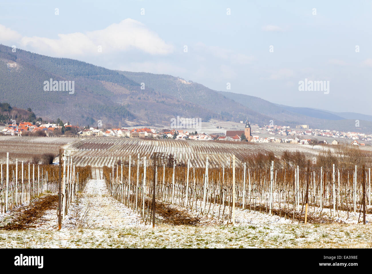 View Burrweiler in winter Stock Photo - Alamy